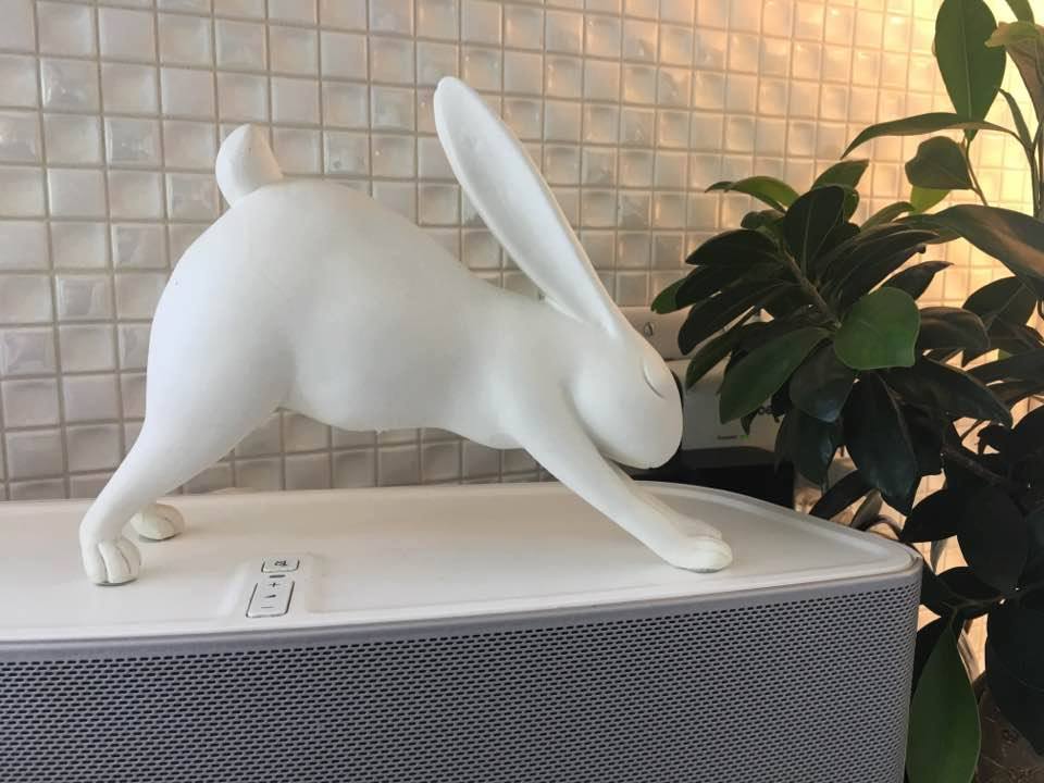 Bunny Yoga - House Rabbit Network