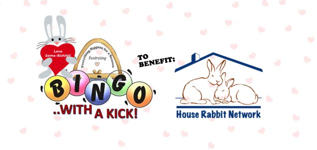 Bingo with a KICK - House Rabbit Network