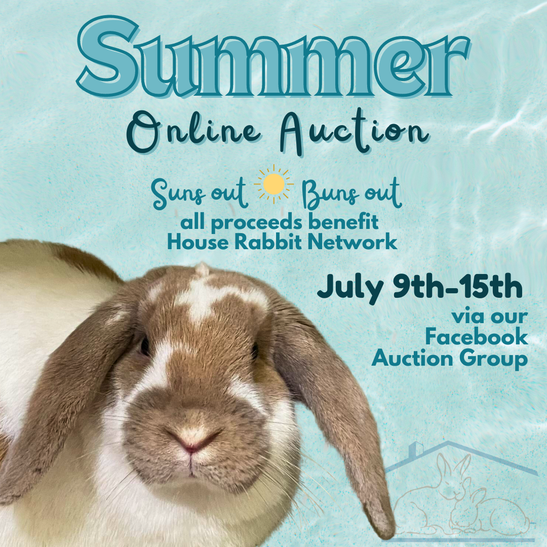 Homepage - House Rabbit Network