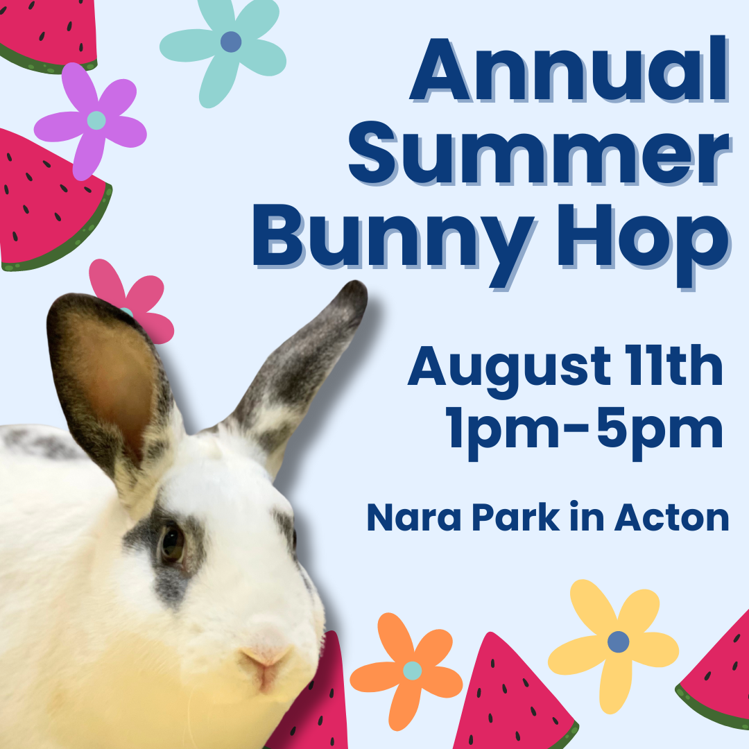 Events - House Rabbit Network