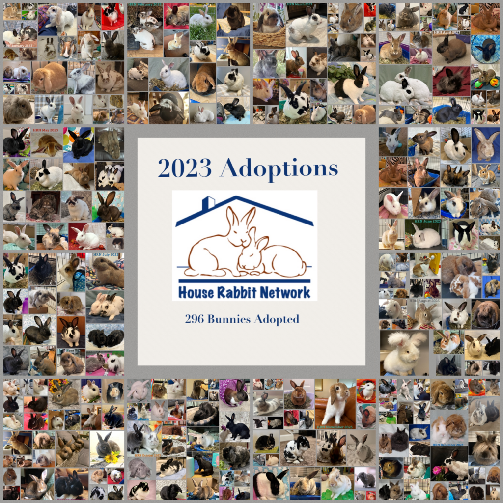 Adoption - House Rabbit Network