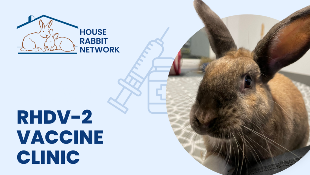 Events - House Rabbit Network