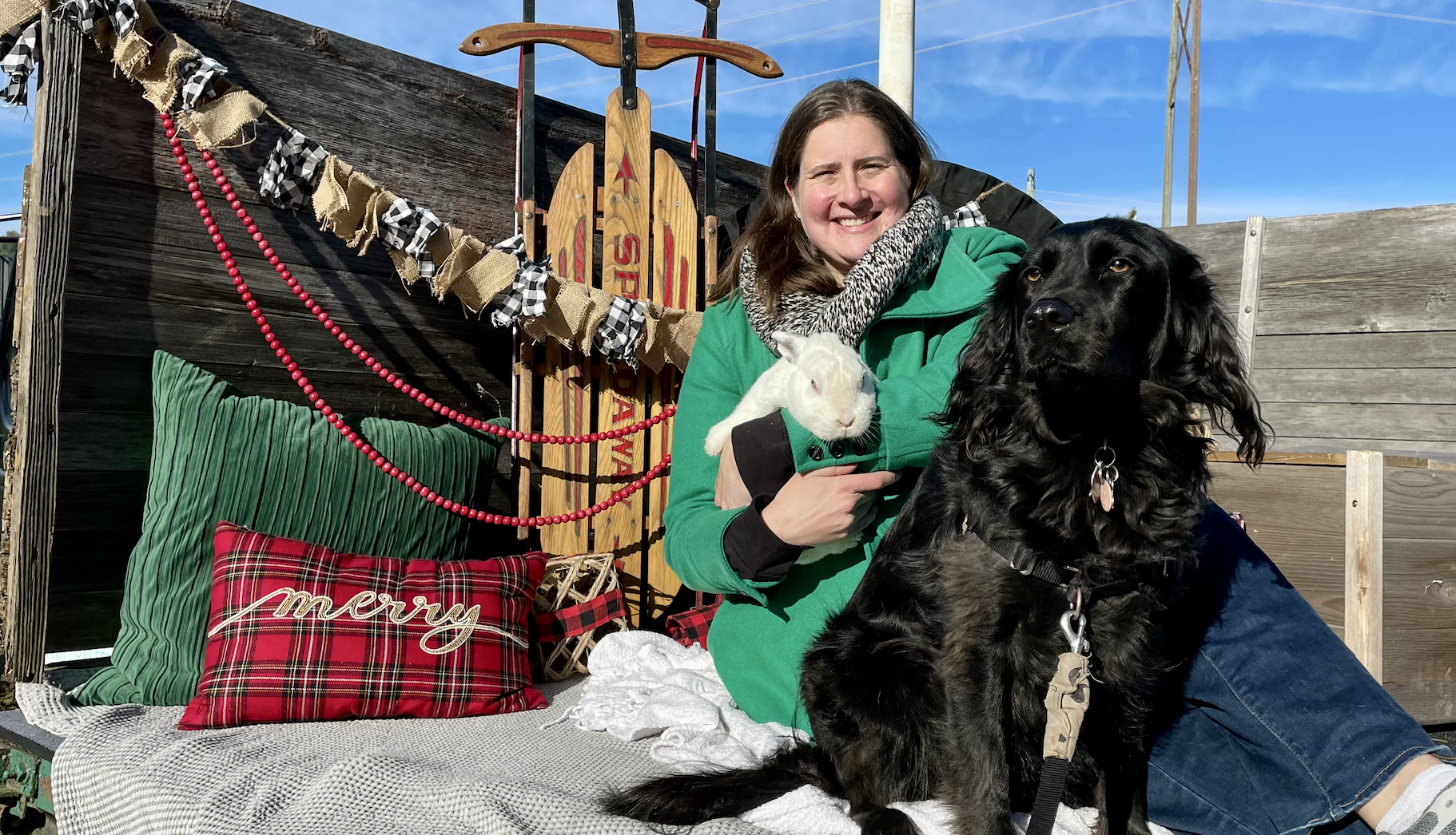 May 2025 Volunteer Spotlight: Lisa W. - House Rabbit Network
